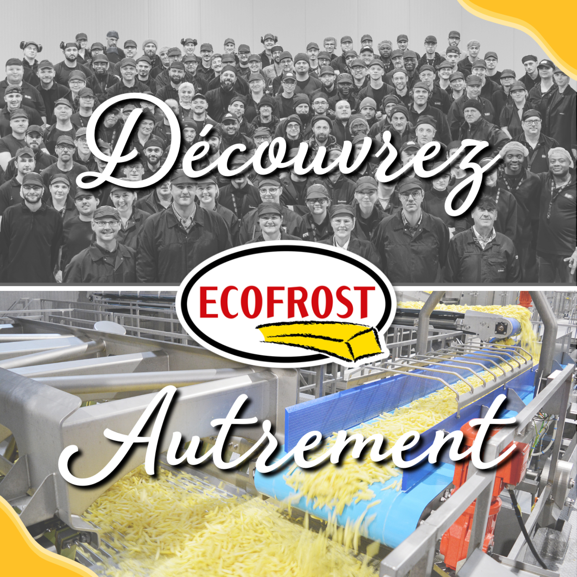 Dernières nouvelles - Ecofrost